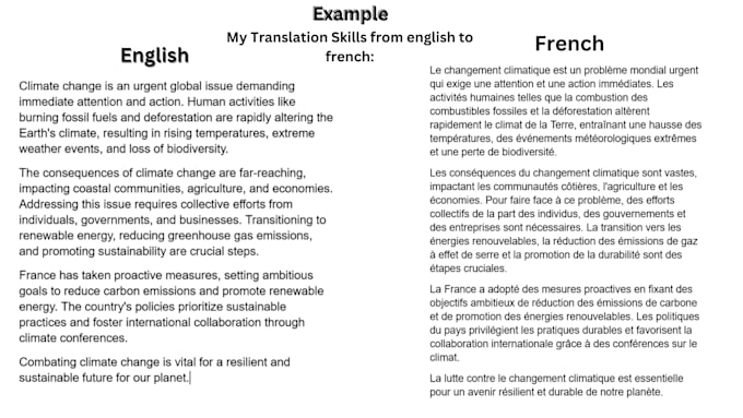 Translate english to french with accuracy and fluency by Quillverse ...