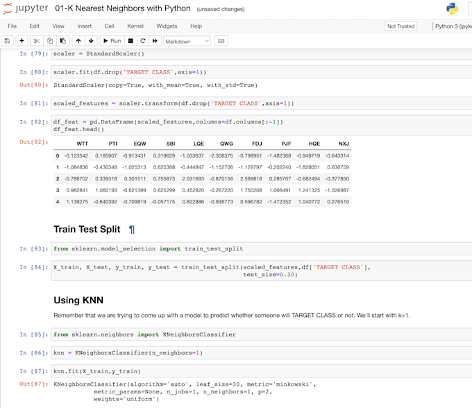 Build A Machine Learning Model By Slightlytechie Fiverr