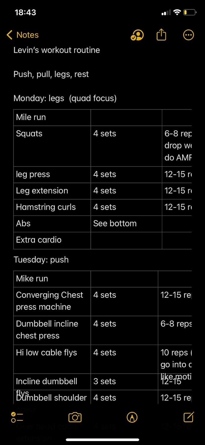 Make a personalized workout plan for you by Jordanrienzo1 | Fiverr