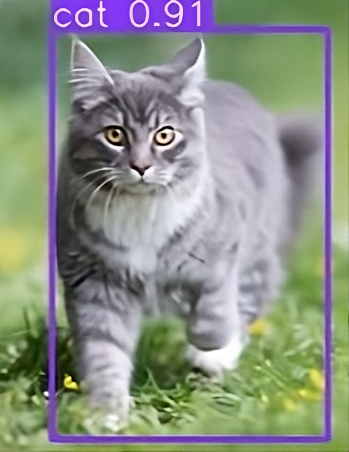 Build your ai and computer vision projects using python by Hawae_e | Fiverr