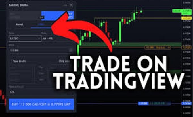 Offer tradingview indicate and strategy in pinescript program by Expert ... Offer tradingview indicate and strategy in pinescript program by Expert ...