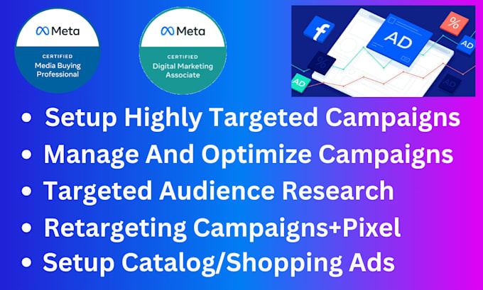 Set up meta facebook and instagram targeted ads for leads and sales by ...