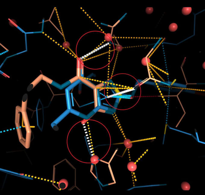 Do Molecular Docking 2d 3d Structure Designing And Bioinformatics Analysis By Samantaj802 Fiverr