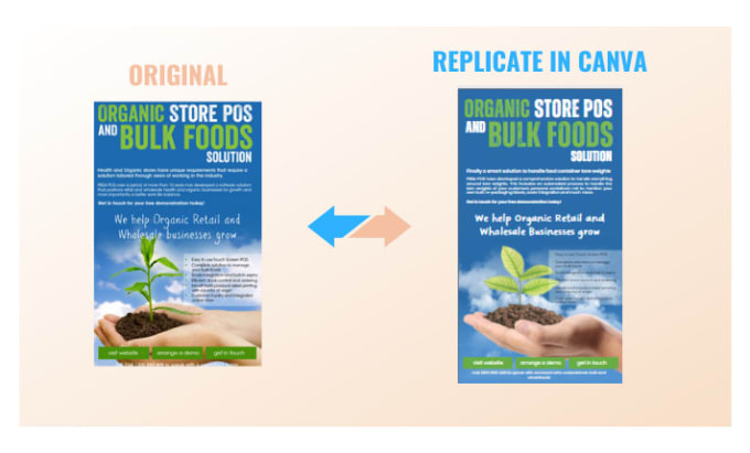 Replicate any design in canva, easily editable templates by Aieena | Fiverr