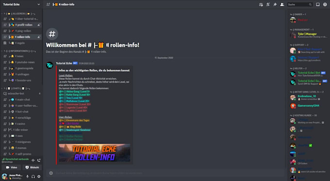 Be your permanent active discord server moderator by Laresjacksom | Fiverr