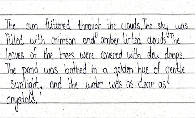 Transform your requirement in my neat readable and adorable hand ...