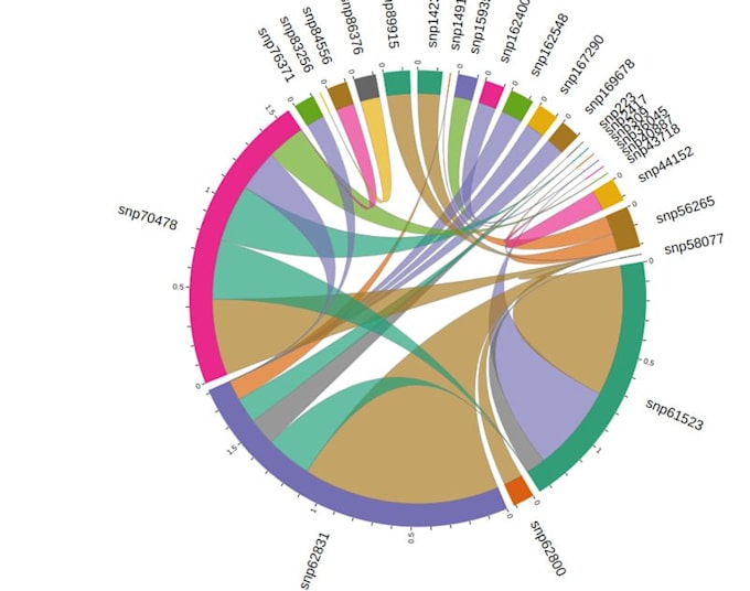 Analyze and visualize your data by Odraviz | Fiverr