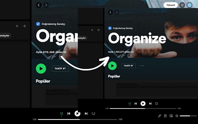 Going to print a streaming bot on the spotify artist profile by ...