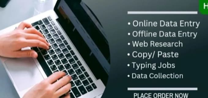 Do data entry copy paste typing and web research by Hajra_j | Fiverr