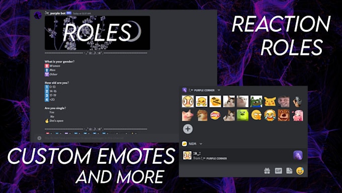 Make and set up a professional discord server or edit an existing one ...