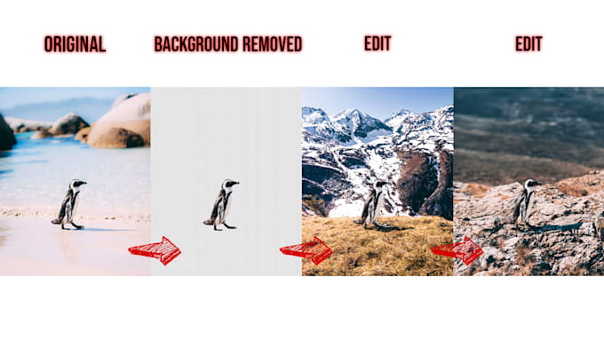 Professionally remove, change and edit background from image by ...