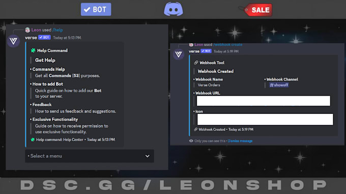 Create a custom advance discord bot by Yooleon | Fiverr
