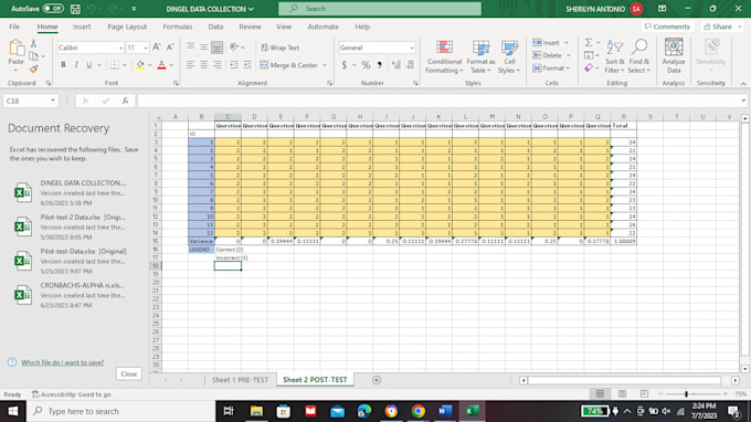 Do inputs in microsoft excel by Shaishaan | Fiverr