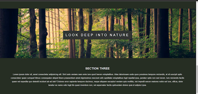 Create A Stunning Parallax Landing Page With Smooth Scrolling By Hafizmelad Fiverr