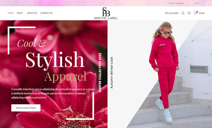 Design a professional one product store on shopify, webshop by ...
