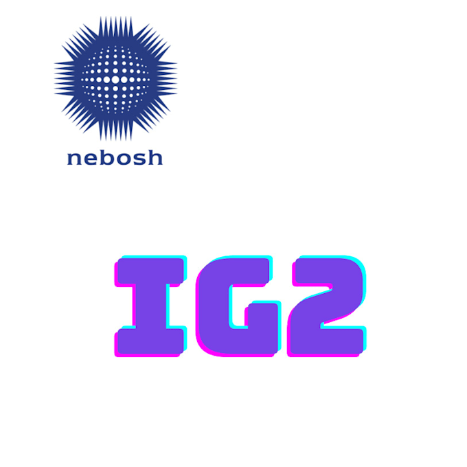 Do ig2 risk assessment report done base by Aqibhussain821 | Fiverr