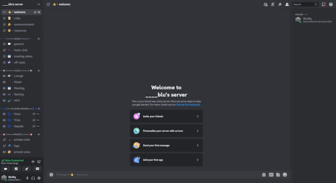 Create a professional discord server by Akiren_ | Fiverr