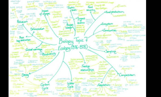 Create flashcards or mindmaps for any subject by Maymunah_latif | Fiverr