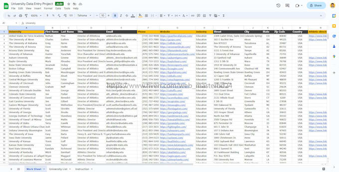 Do freelance data entry work, web research, copy paste and excel data entry job by Web ...