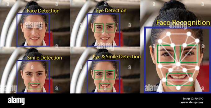 Do image annotation, data labeling, bounding box, and segmentation, by Datalabeling | Fiverr