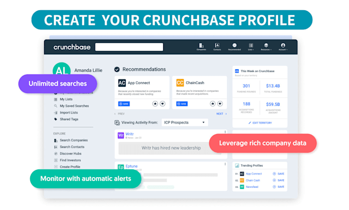 Create a professional crunchbase profile for company and personal by Fh ...