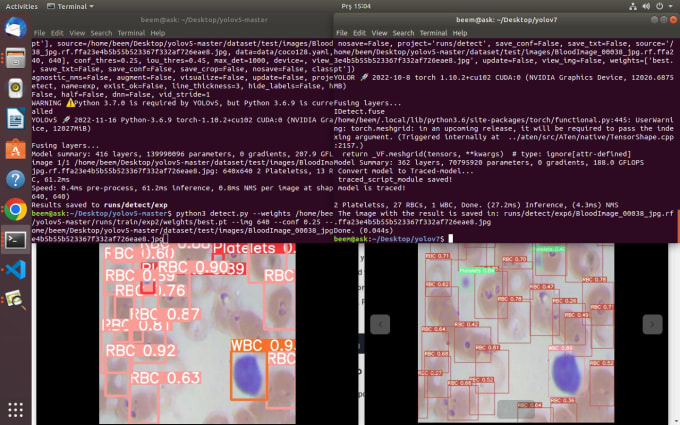 Train Model For Object Detection Classification And Segmentation