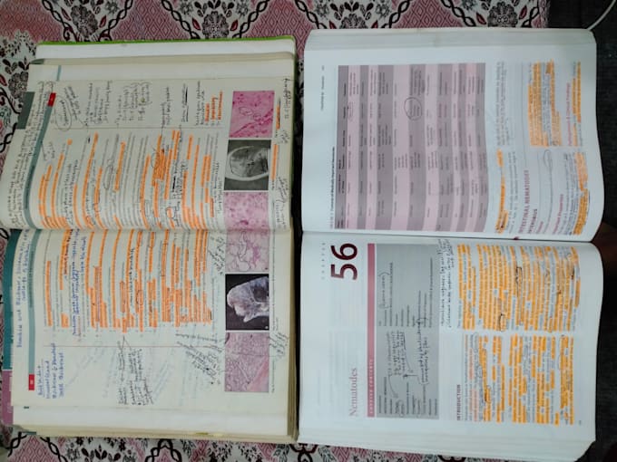 Tutor you patho , micro and immuno , biochemistry , pharma , anatomy , physio by Robert4444444 ...