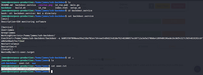 Capture the flag for you and help you create ctf challenges by ...
