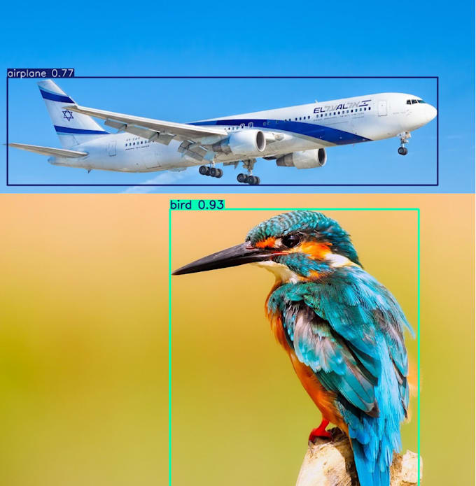 Do yolo object detection object tracking and image classification by Zmkh87 | Fiverr