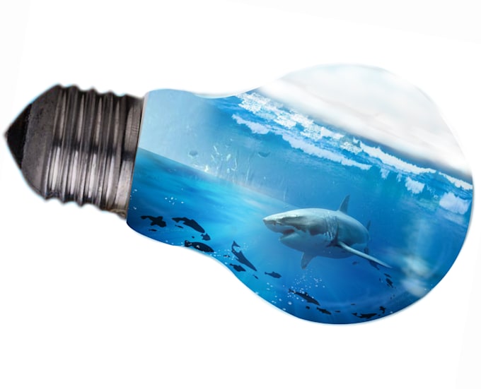 Designchildrenbook in a realy amazing way by Sangadipgoswami | Fiverr