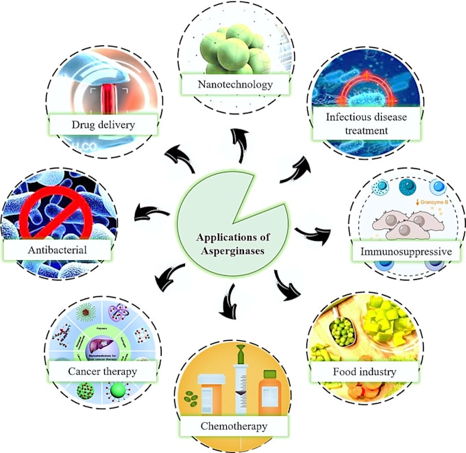 Draw your scientific figures and graphical abstract by Designsbyashiii ...