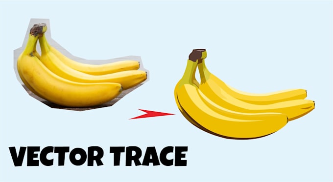 Trace vector, do vector art and illustration by Sigoese | Fiverr