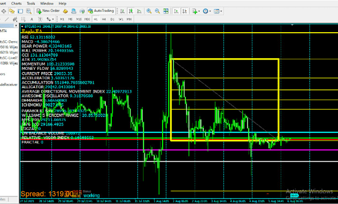Code reinforcement learning ai trading robot by Manpov | Fiverr