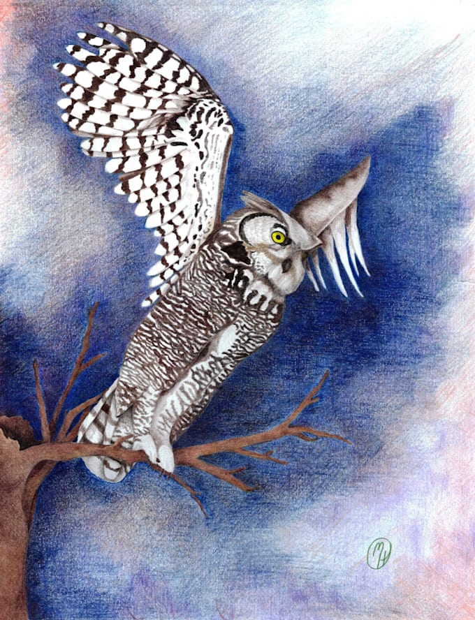 Draw a favorite animal by Mirandasue | Fiverr