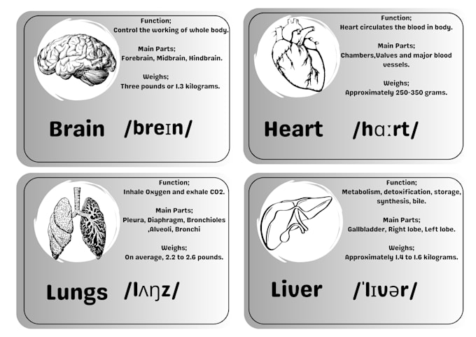 Make high quality printable flashcards with free gift by Wasi_grapher ...