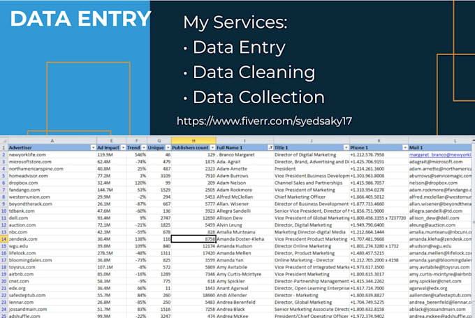 Do data entry, excel, google spreadsheet, formatting and data analysis by Syedsaky17 | Fiverr