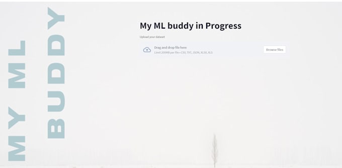 Create data science app with streamlit in python by Riyazikaustad | Fiverr