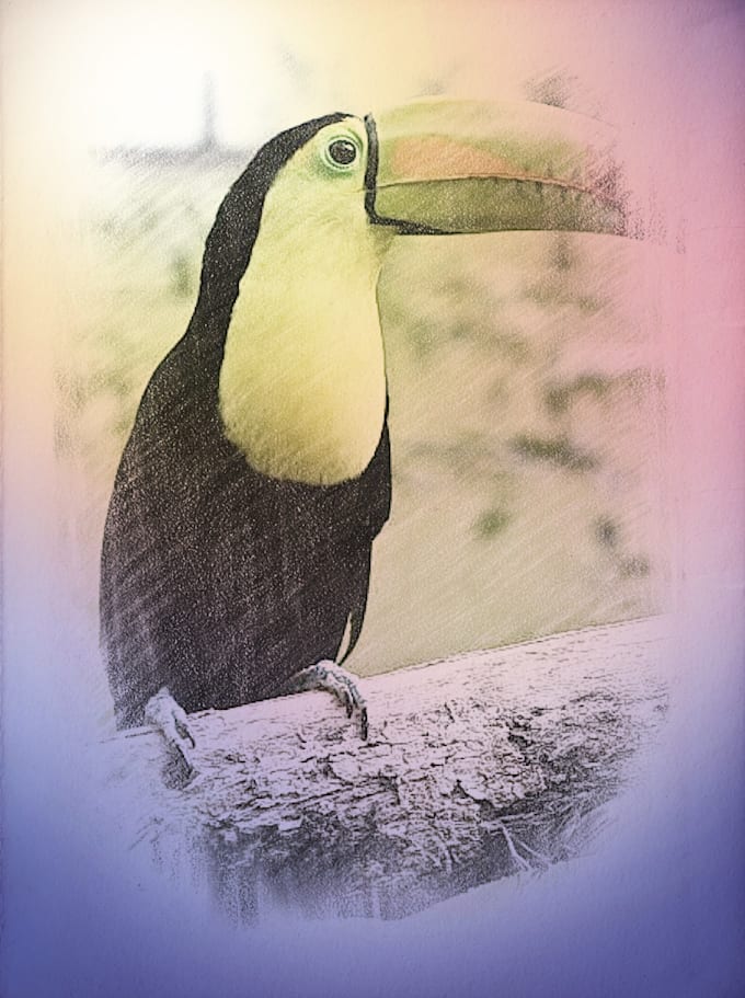 Make sketch like a real photo by Mustansargull | Fiverr