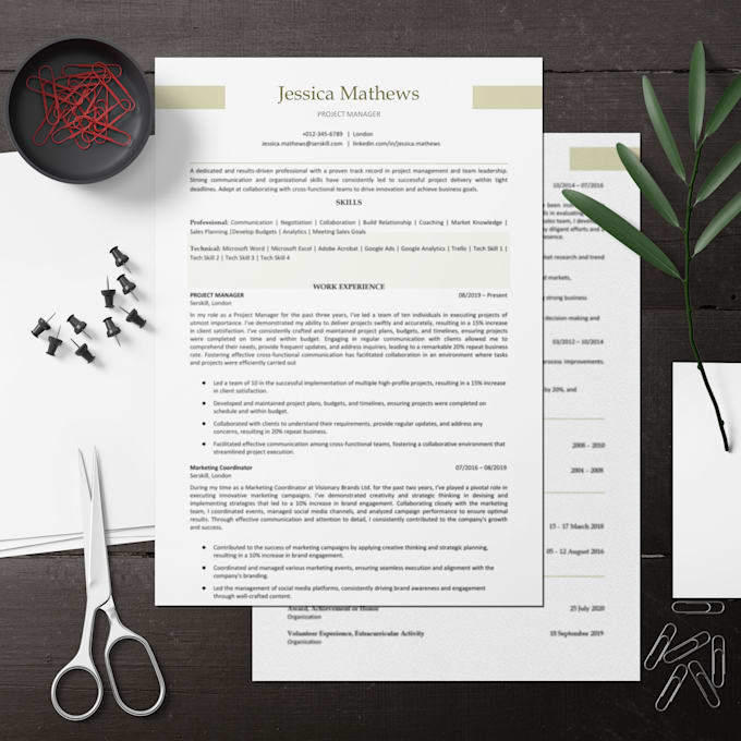 Create a compelling resume that showcases your experience by Dntp09 ...