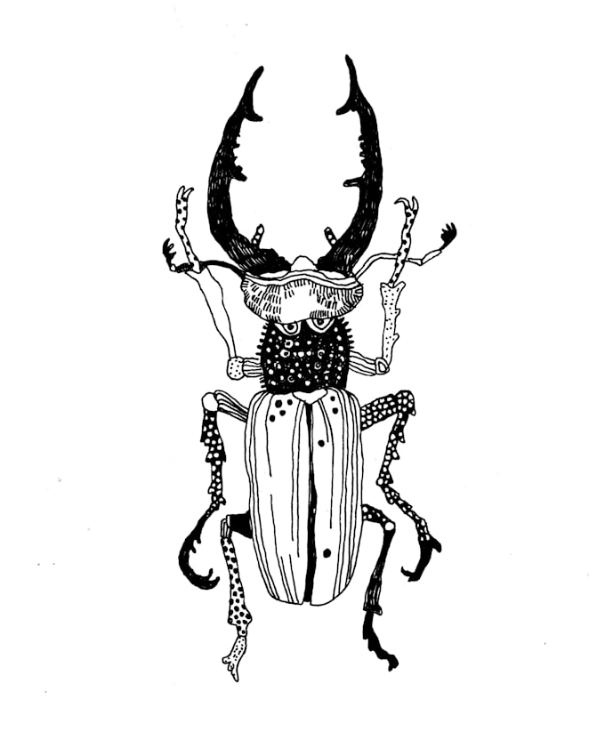 Create an insect illustration for you by Nonostya | Fiverr