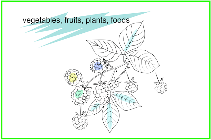 Draw vegetables, fruits, plants, foods digital illustrations by Rina ...