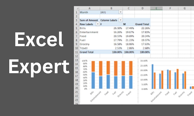 Do excel dashboard, formula, pivot table and formatting by Nargis_211 | Fiverr