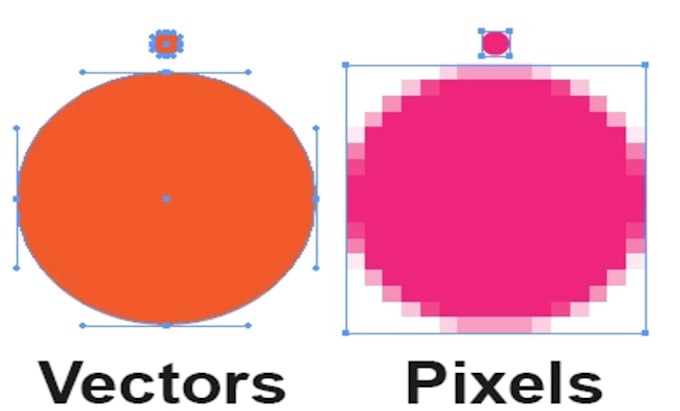 Converting images from pixels to vectors by Amerhomade | Fiverr Converting images from pixels to vectors by Amerhomade | Fiverr