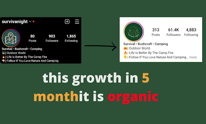 Manage Your Instagram Page For Fast Organic Growth By Amirbakhouche