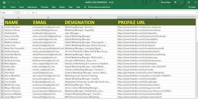 Do excel data entry, convert pdf to excel, copy paste, typing and web research by Rimzaazam | Fiverr