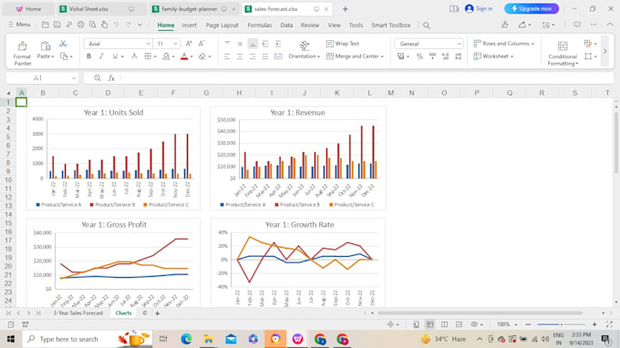 Professional excel spreadsheet design and formatting by Mrchad_ | Fiverr