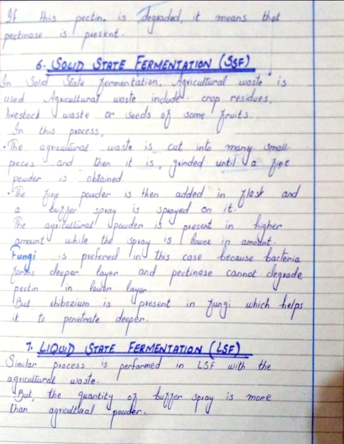 Write handwritten notes and assignments by Laiba0001 | Fiverr