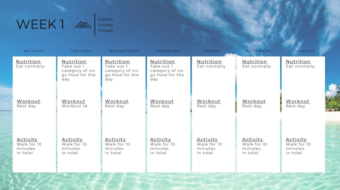 Create a personalised workout plan for you by Connor_lockey | Fiverr