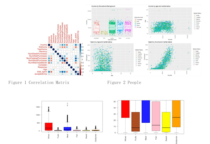 Data visualization and analytics by Ivy_liang | Fiverr