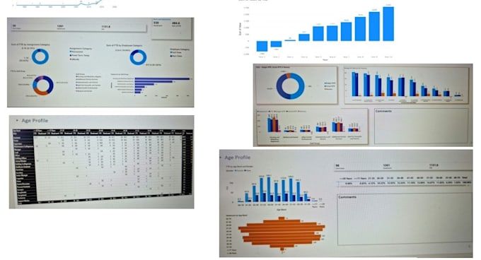 Provide power bi driven workforce insights by Topeakingbala56 | Fiverr